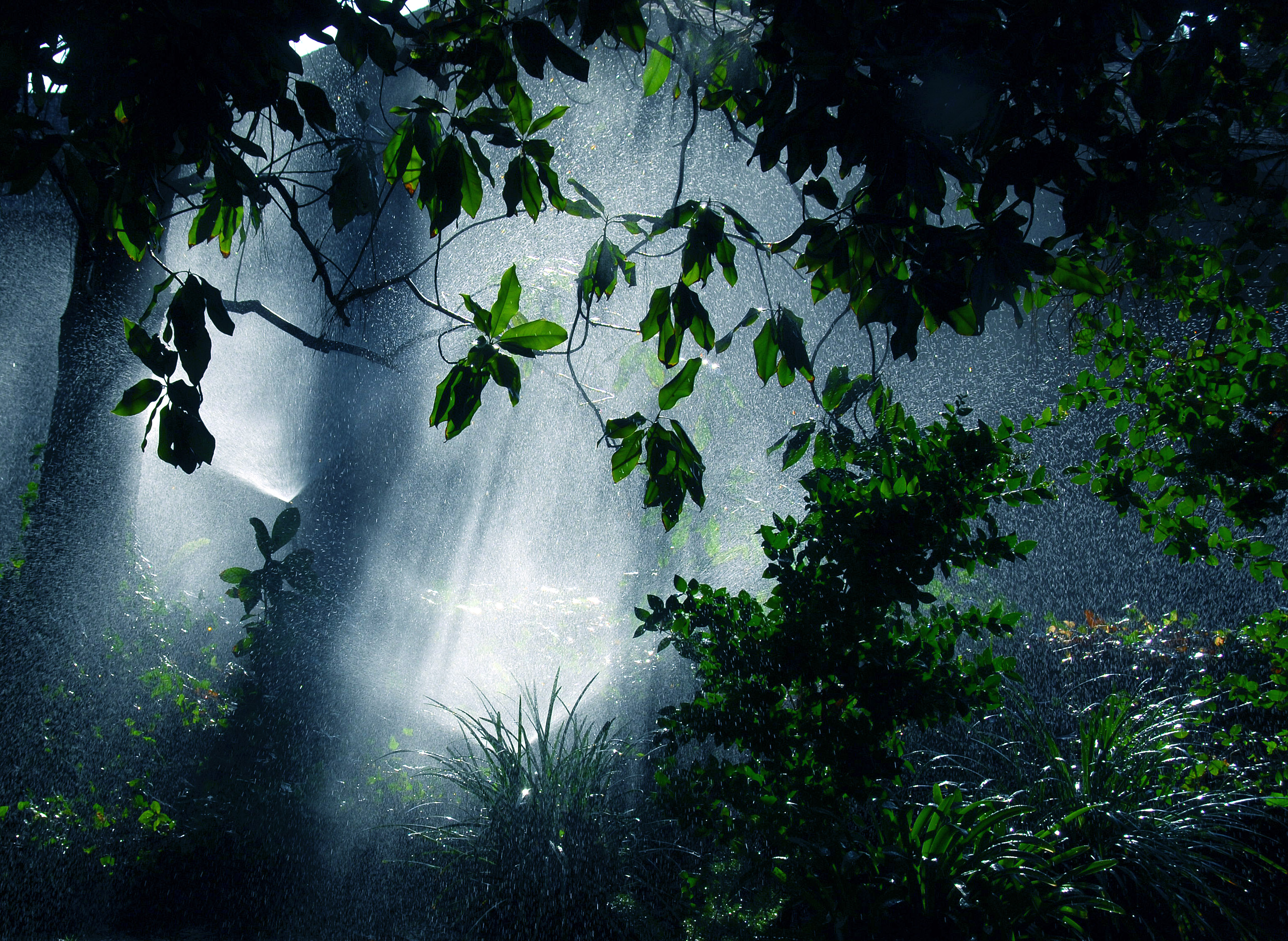 ReckfulArchive - Directory